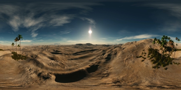 VR 360 Degree Aerial Panorama of Palms in Desert, Motion Graphics ...