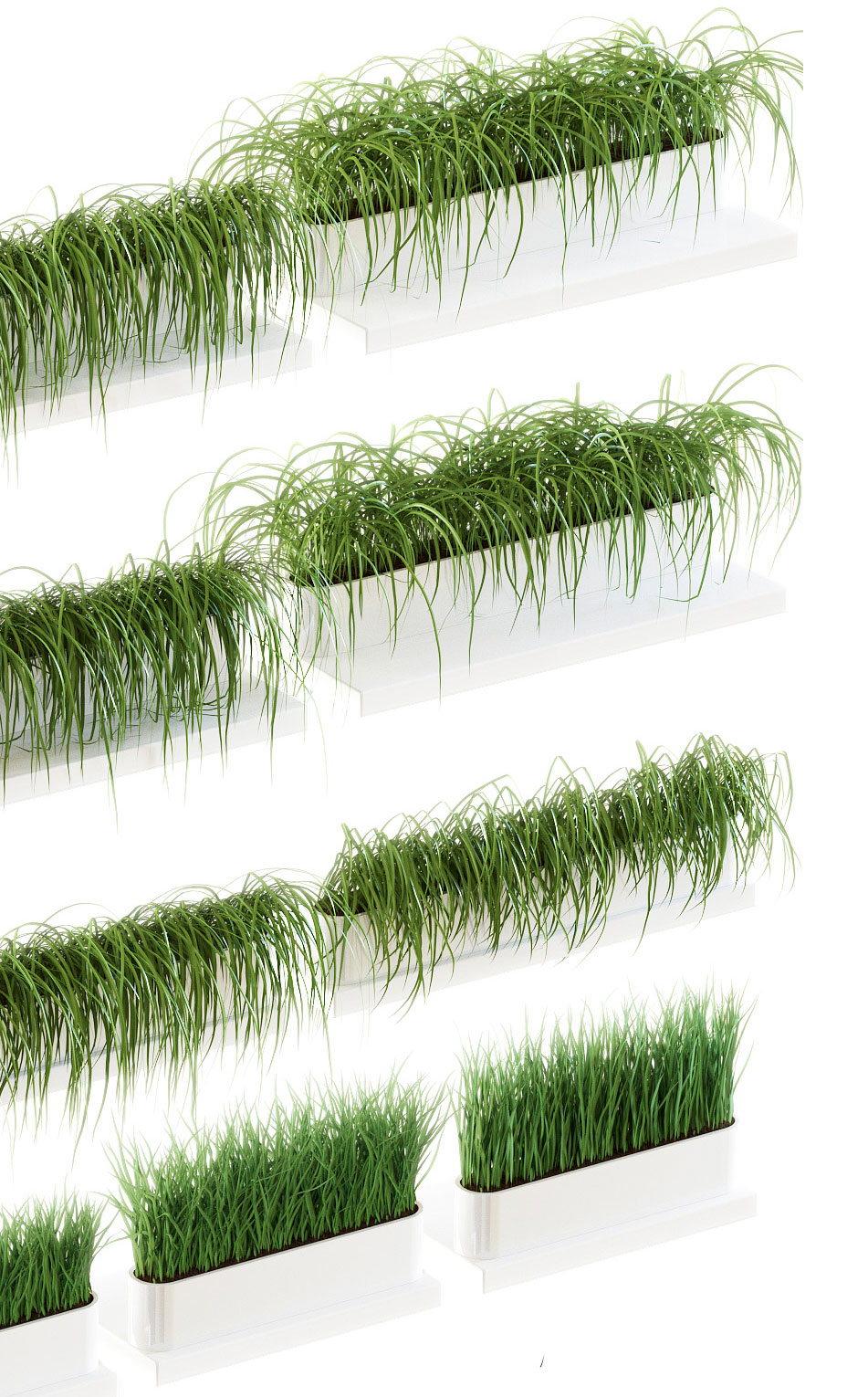 Grass on the shelves of 13 models by rnax | 3DOcean