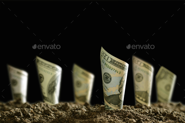 Bank notes on soil Stock Photo by amenic181 | PhotoDune