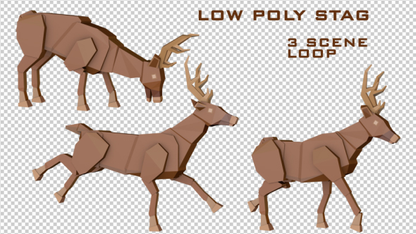 Low Poly - Stag Toy Animations, Motion Graphics | VideoHive