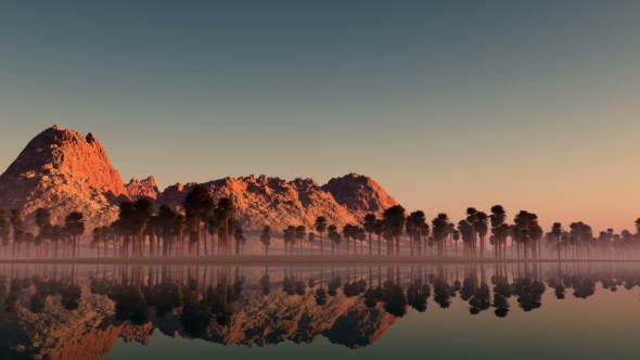 Tropical Island with Palms, Motion Graphics | VideoHive