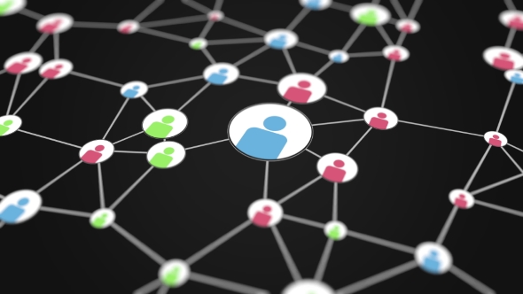 Social Network Model, Motion Graphics | VideoHive