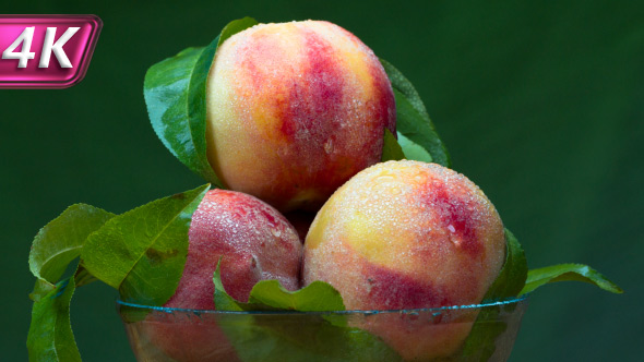 Four Peaches With Foliage, Stock Footage | VideoHive