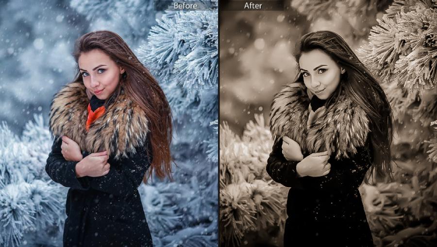 25 Premium Portraits Lightroom presets, Add-ons | GraphicRiver