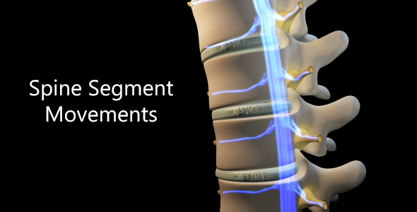 Spine Segment Movements, Motion Graphics | VideoHive