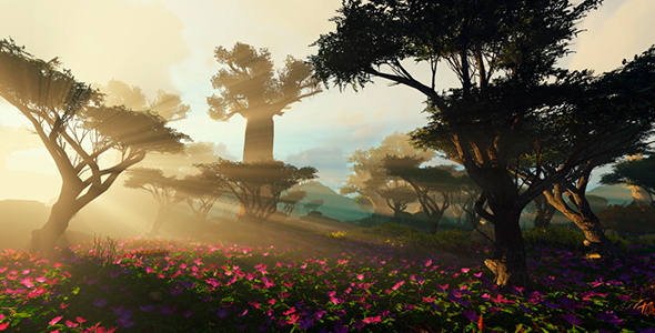 Sun Rays At Sunset, Motion Graphics | VideoHive