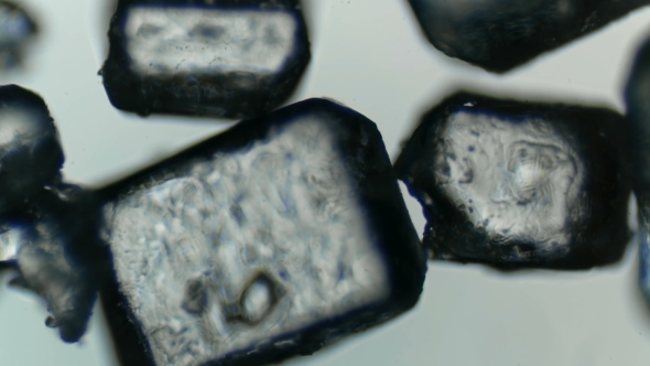 Sugar Particles Under a Microscope, Stock Footage | VideoHive