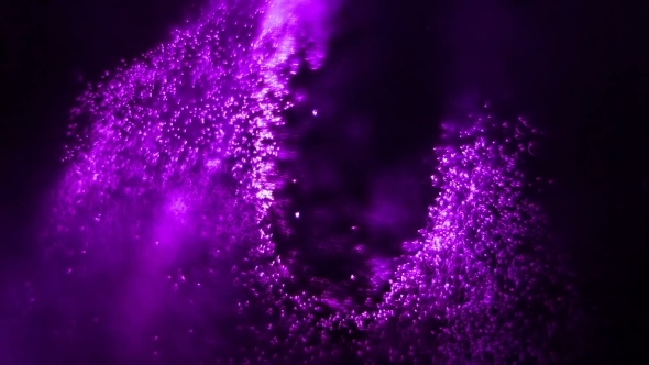 Purple Particles Reveal, Motion Graphics | VideoHive