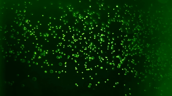 Green Glow Particles Motion, Motion Graphics | VideoHive