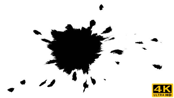 Ink Drops on Wet Paper 14, Stock Footage | VideoHive