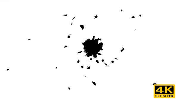 Ink Drops on Wet Paper 03, Stock Footage | VideoHive