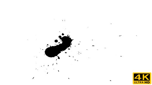 Ink Drop on Dry Paper 05, Stock Footage | VideoHive