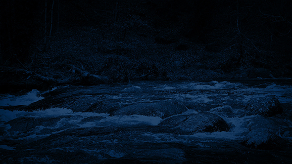 River in Wild Forest at Night, Stock Footage | VideoHive
