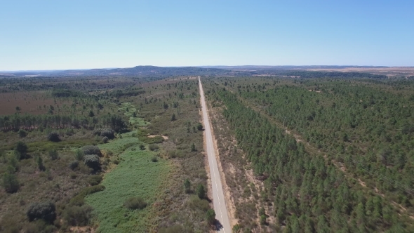 Straight Road in the Countryside, Aerial View, Stock Footage | VideoHive