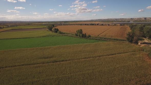 Fast Train Near Cultivated Corn Field, Stock Footage | VideoHive