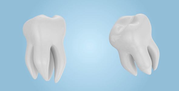 Tooth Rotation Dental Concept Health Animation, Motion Graphics | VideoHive