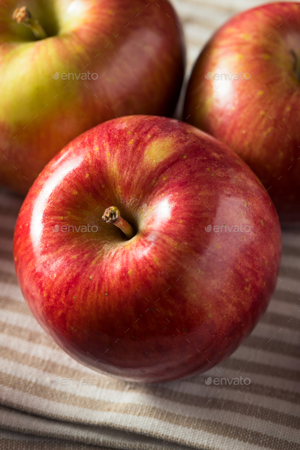 Raw Red Organic Kiku Apples Stock Photo by bhofack2 | PhotoDune