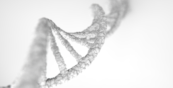 DNA Full 360 Spin by TeddyGraphics | VideoHive