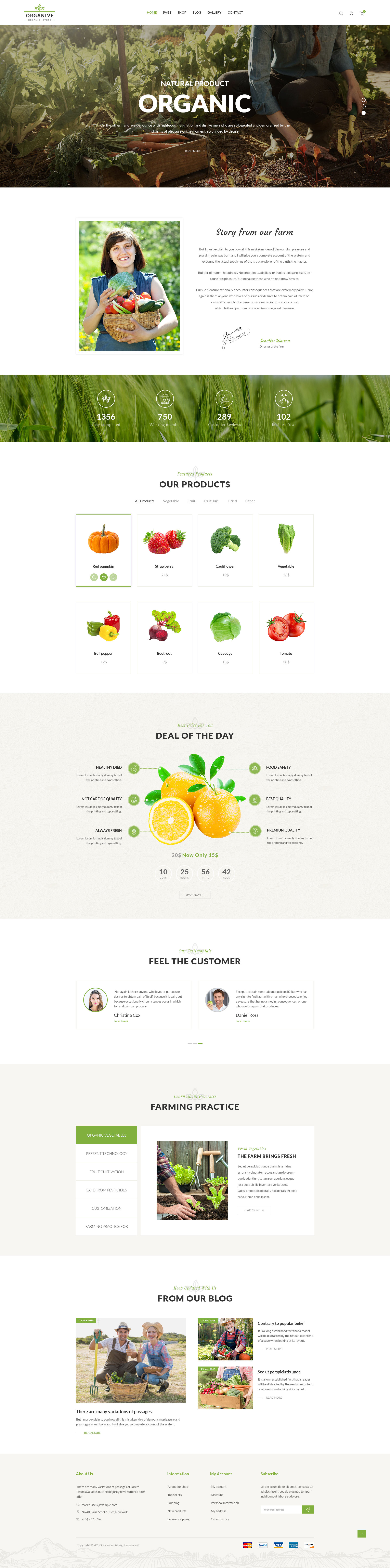 Organive - Organic Store & Eco Food Products PSD Template by AuThemes