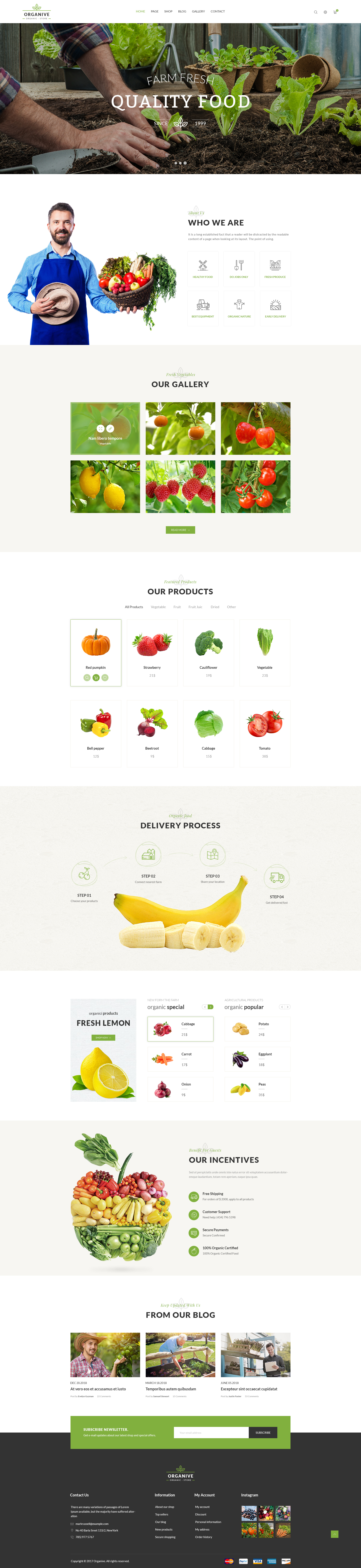 Organive - Organic Store & Eco Food Products PSD Template by AuThemes