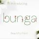 Bunga font, Fonts | GraphicRiver