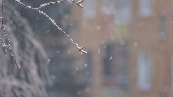 Slow Falling Snow, Stock Footage | VideoHive