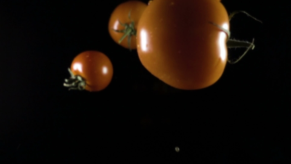 Falling Tomato on a Isolate on Black Background, Stock Footage | VideoHive