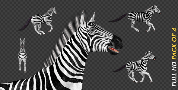 Zebra - Gallop Loop - Pack of 4, Motion Graphics | VideoHive