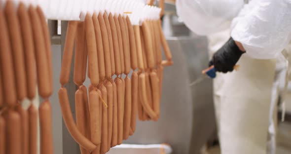 Food Industry, Meat Production, Woman Workers in Protective Uniforms at ...