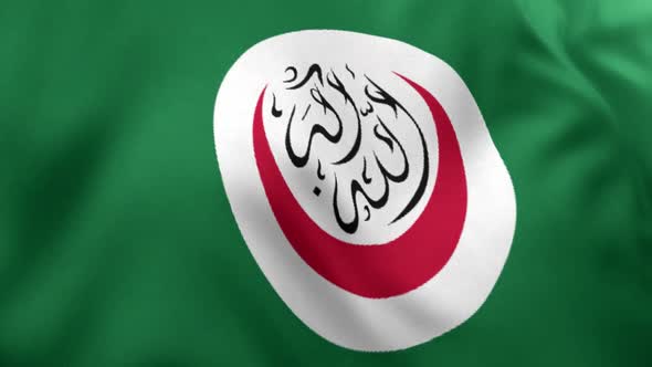 OIC Flag / Organisation of Islamic Cooperation Flag, Motion Graphics