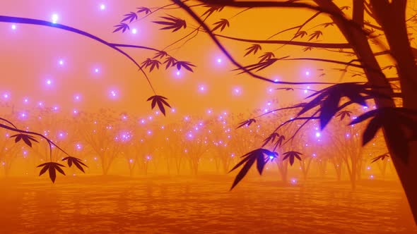 Organic Forest, Motion Graphics | VideoHive