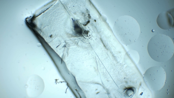 Grains of Sugar Melting in the Water,under the Microscope,, Stock Footage