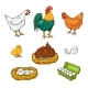 Vector Farm Chicken Set, Vectors | GraphicRiver