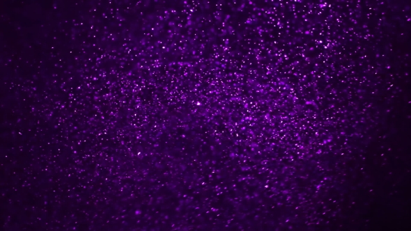 Purple Particles, Motion Graphics | VideoHive
