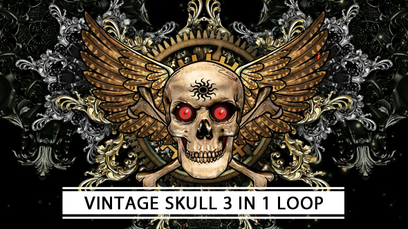 Vintage Skull, Motion Graphics | VideoHive