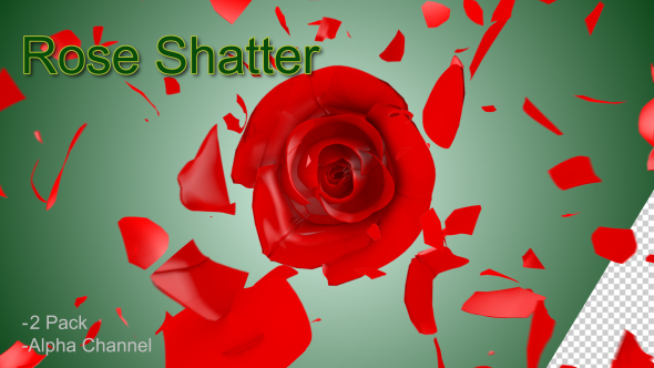 Rose Shatter, Motion Graphics | VideoHive