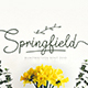 Springfield Fontduo, Fonts | GraphicRiver