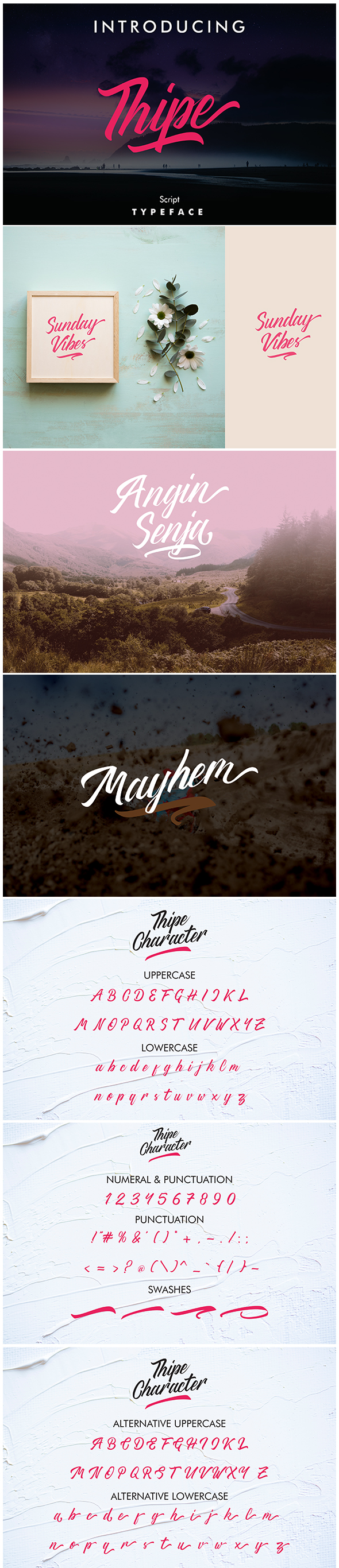 Thipe Typeface, Fonts | GraphicRiver