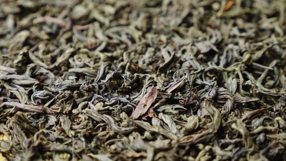 Large-leaf Black Tea, Stock Footage | VideoHive
