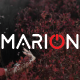 Marion, Fonts | GraphicRiver