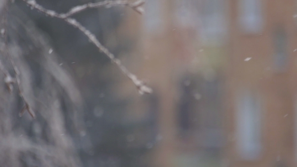 Slow Falling Snow, Stock Footage | VideoHive
