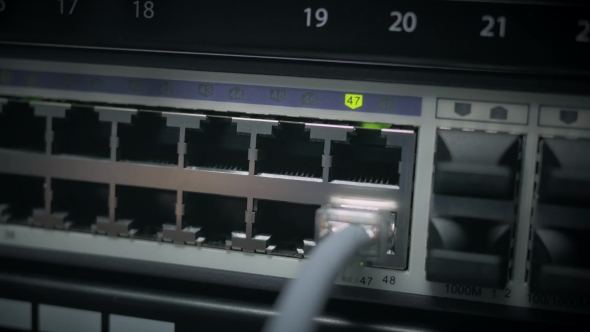 Hands Plug in the Ethernet Cable, Stock Footage | VideoHive