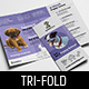 Puppy School Tri-Fold Brochure Template, Print Templates | GraphicRiver