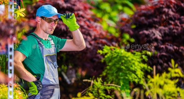 Greenhouse Garden Worker Stock Photo by duallogic | PhotoDune