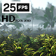 Jungle 02 HD, Motion Graphics | VideoHive