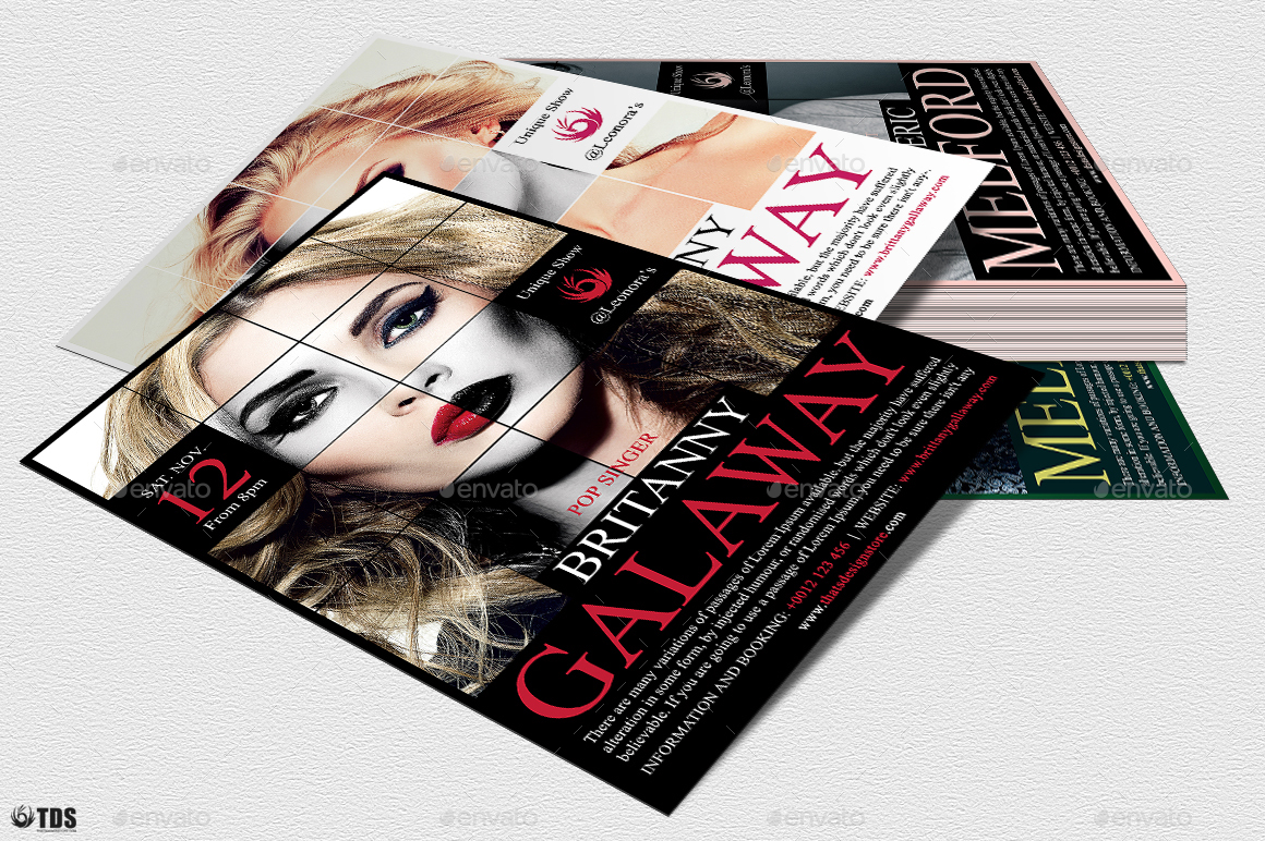 Artist Promotion Flyer Bundle, Print Templates | GraphicRiver