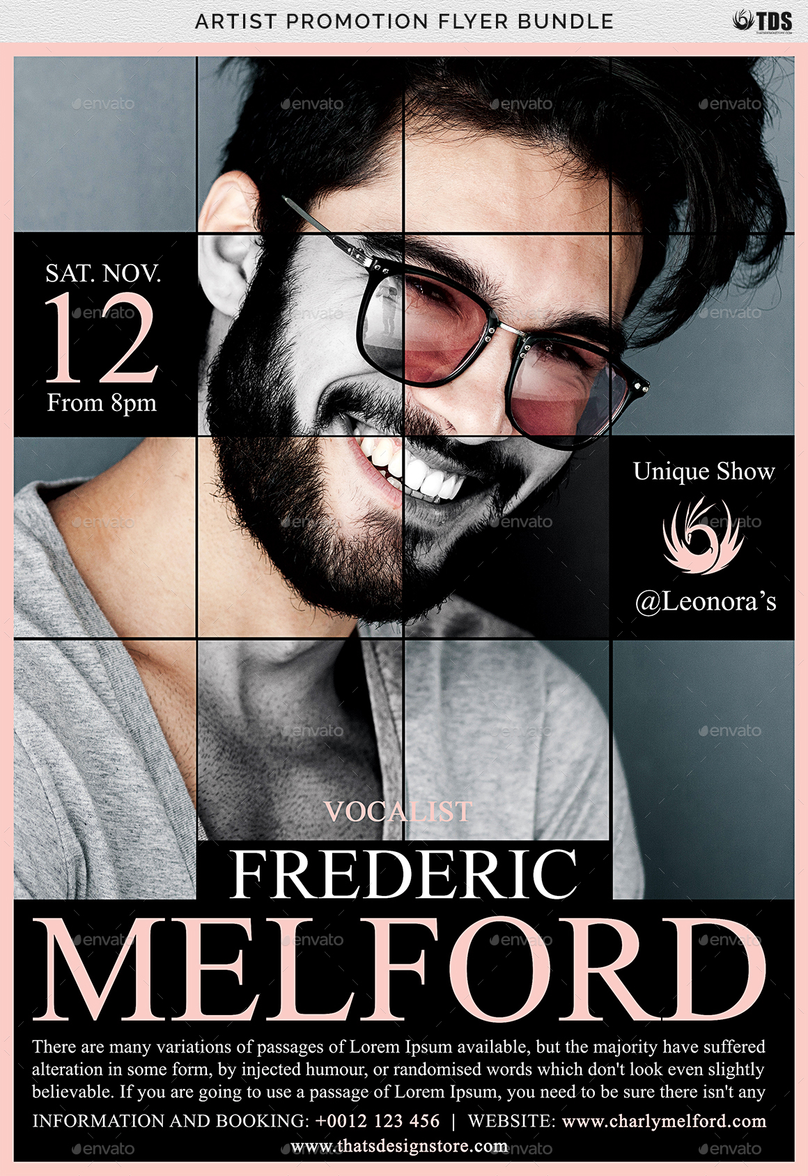 Artist Promotion Flyer Bundle, Print Templates | GraphicRiver