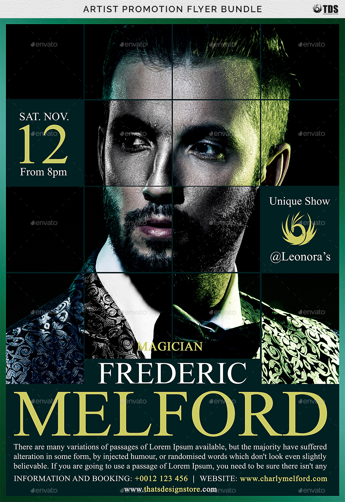 Artist Promotion Flyer Bundle, Print Templates | GraphicRiver