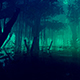 Tropical Jungle At Dusk, Motion Graphics | VideoHive