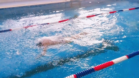 Professional Swimmer Training in Pool, Stock Footage | VideoHive